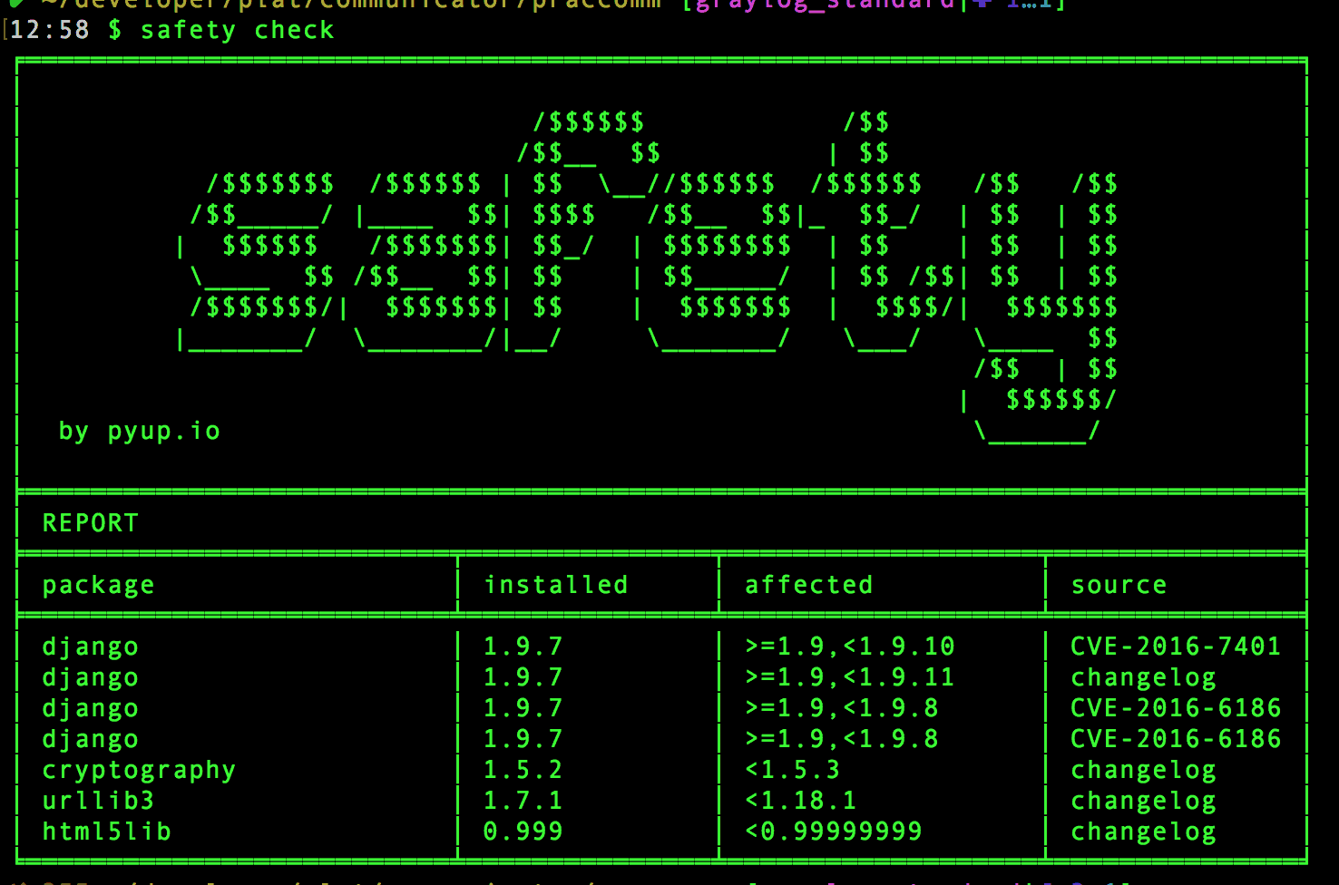 Python Dependency Security Vulnerability Checker Learn Steps